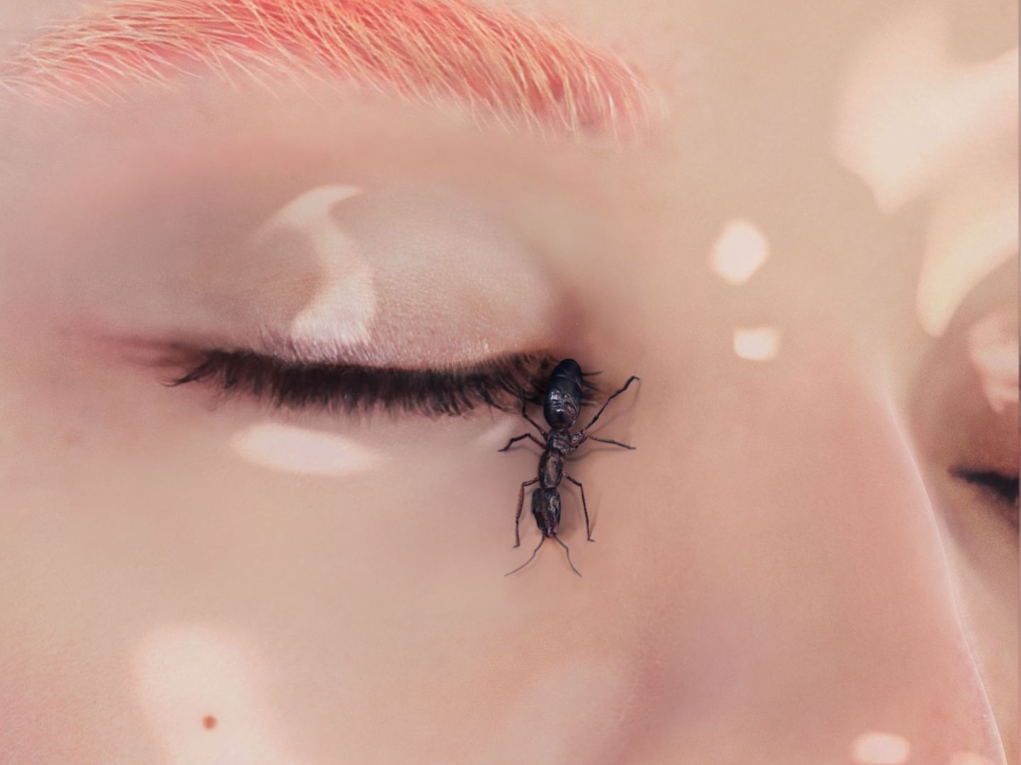 Stücke | Münchner Volkstheater